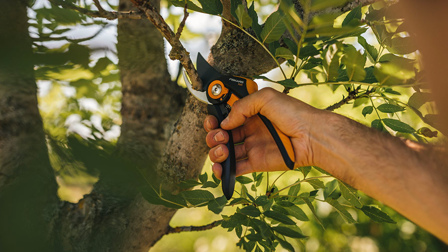 Nouvelles gammes de sécateurs X-serie Fiskars, des outils performants ...